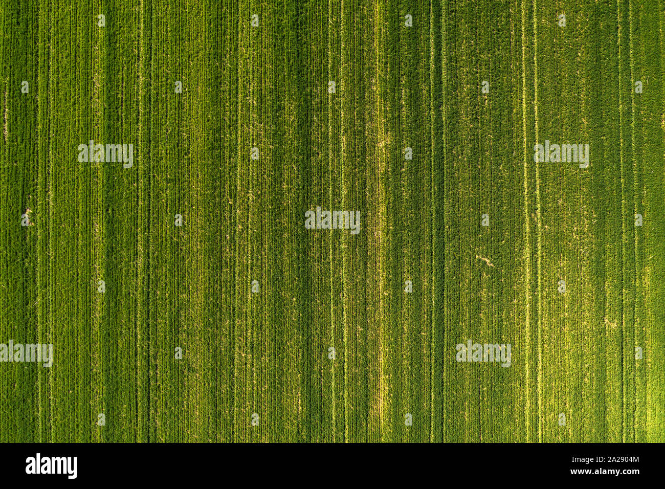 Crop texture from top hi-res stock photography and images - Alamy