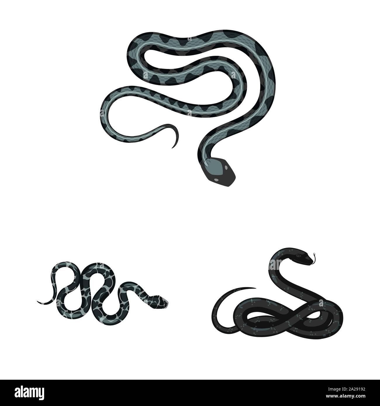 Vector Vectors Stock Vector Image & Art - Alamy