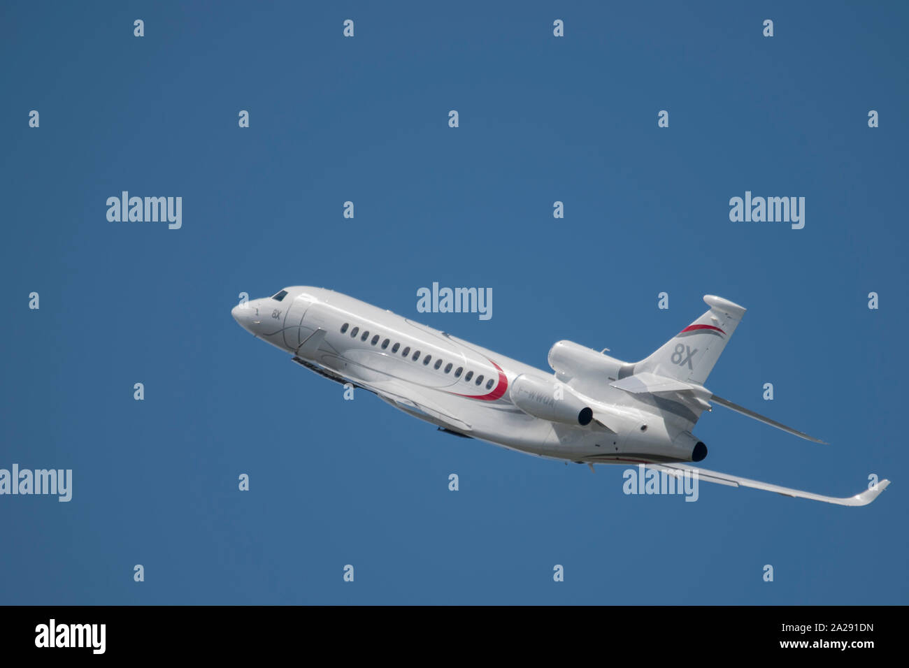 Falcon train hi-res stock photography and images - Alamy