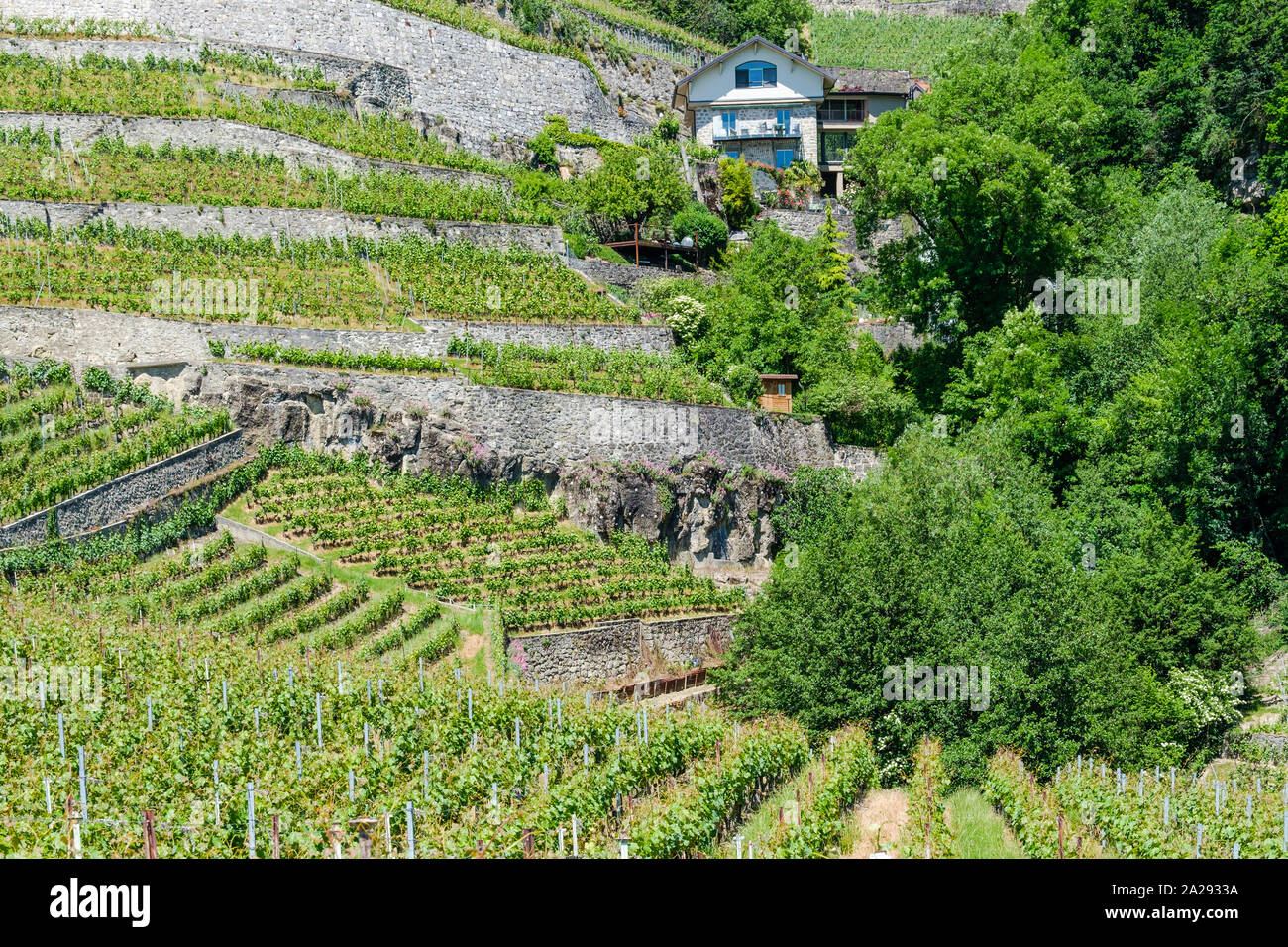 Switzerland agriculture hi-res stock photography and images - Alamy