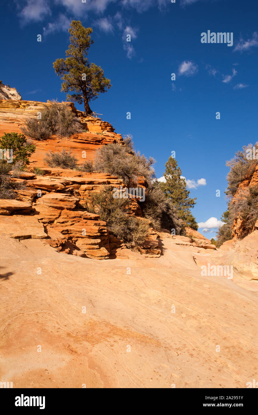 Utah desert mountain scene Stock Photo - Alamy