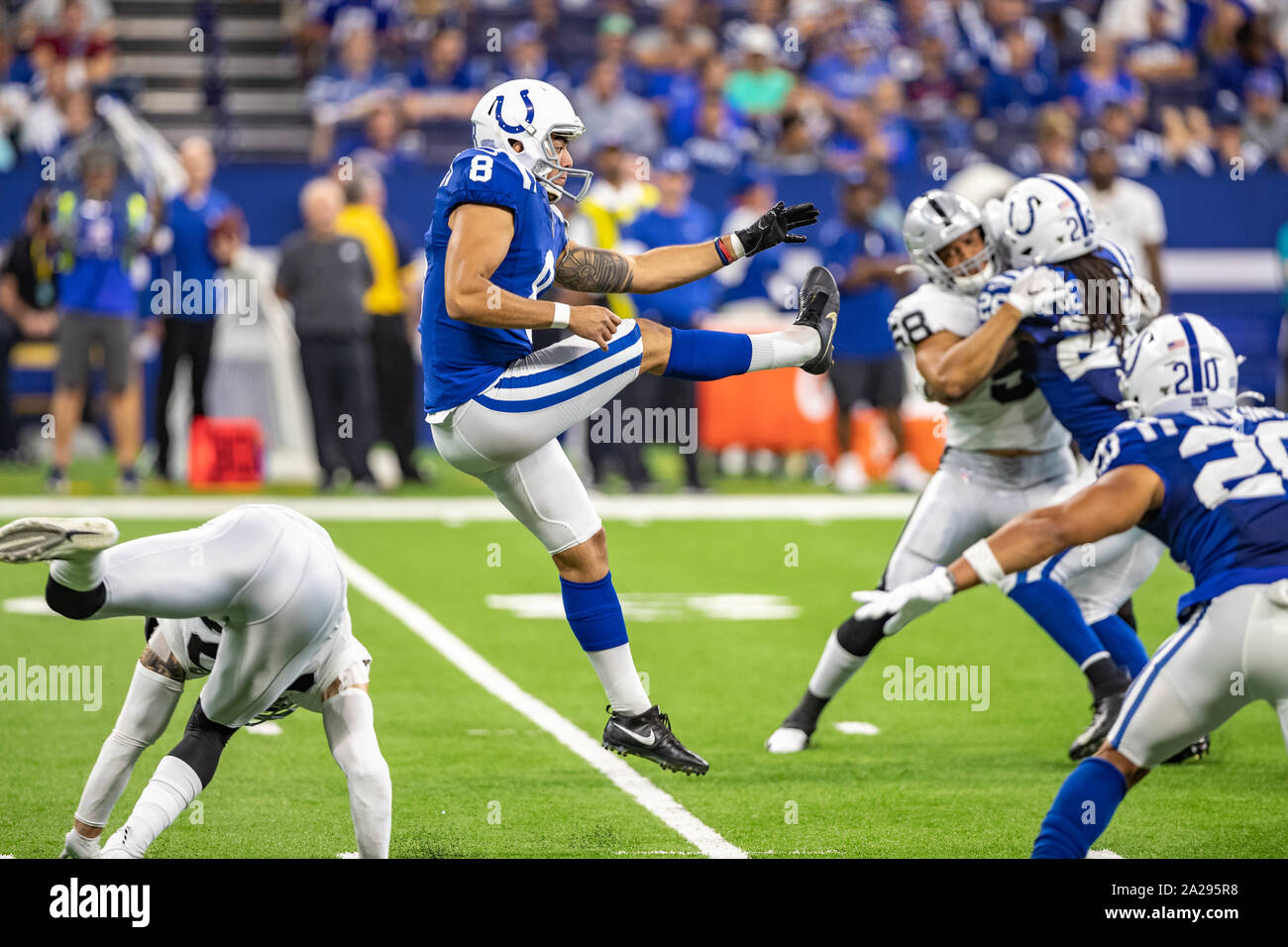 Indianapolis, Indiana, USA. 29th Sep, 2019. Indianapolis Colts punter ...