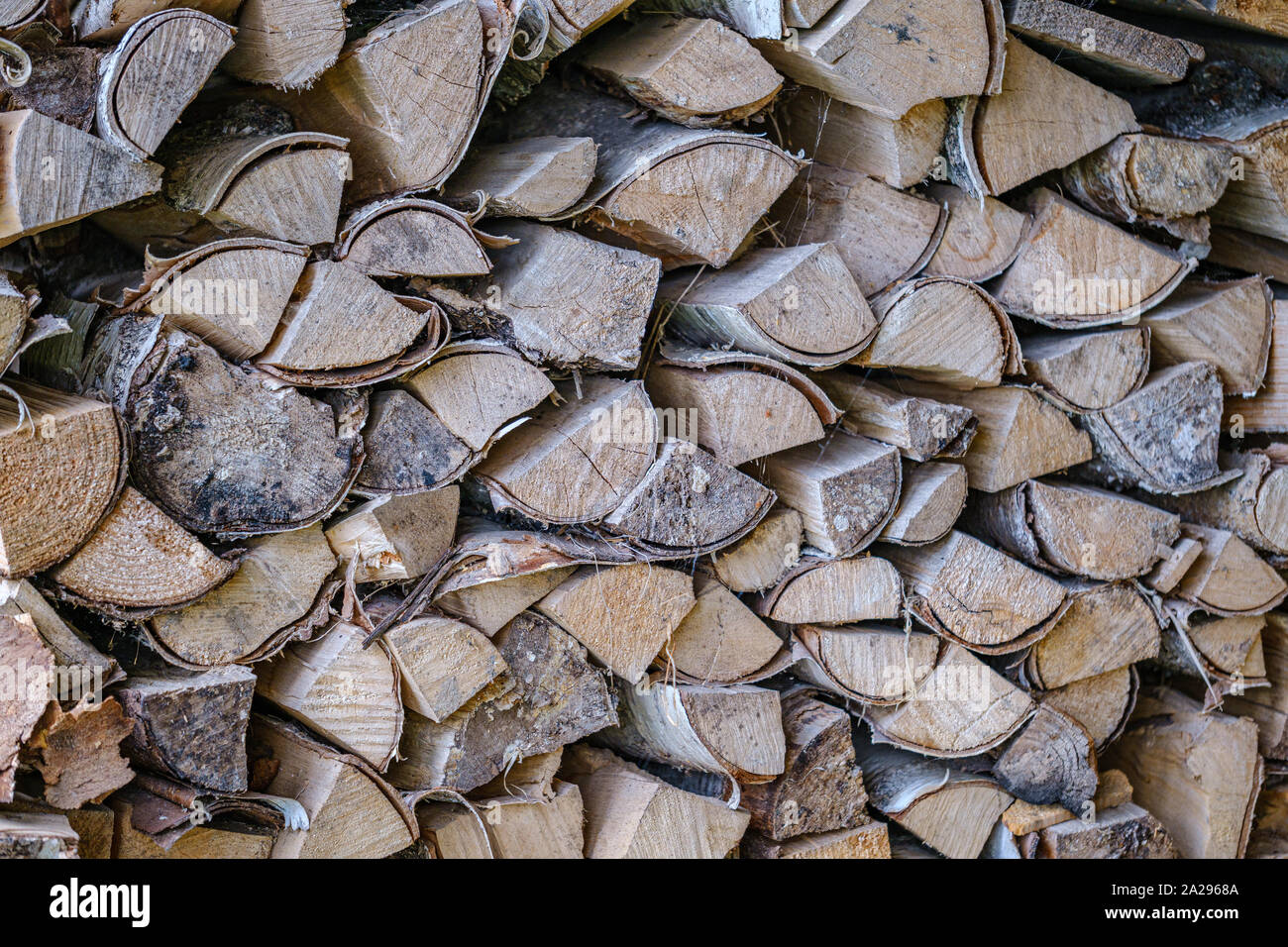 old wooden log abstract texture. aging tree trunk pattern Stock Photo ...