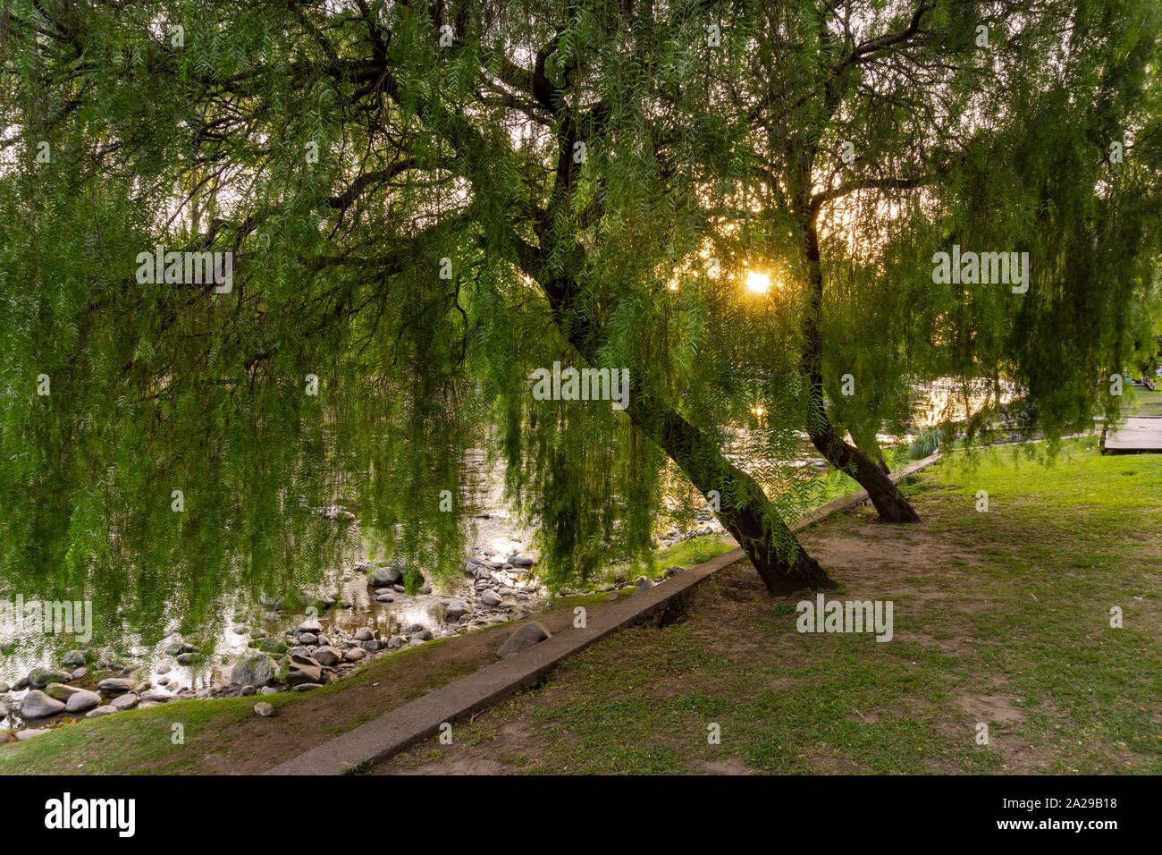 Babylon forest hi-res stock photography and images - Alamy