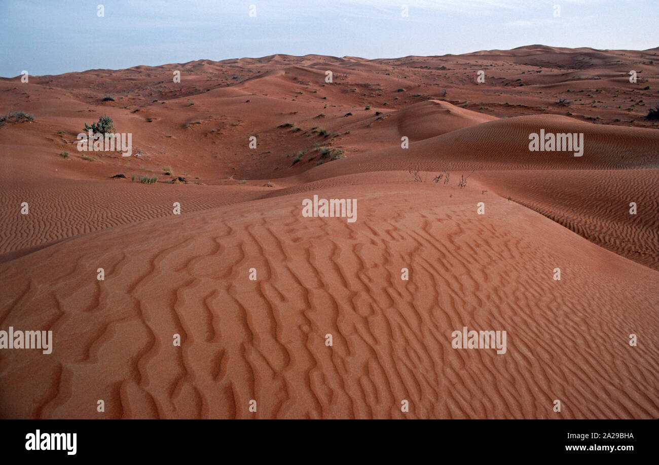 United Arab Emirates Desert, UAE Stock Photo - Alamy