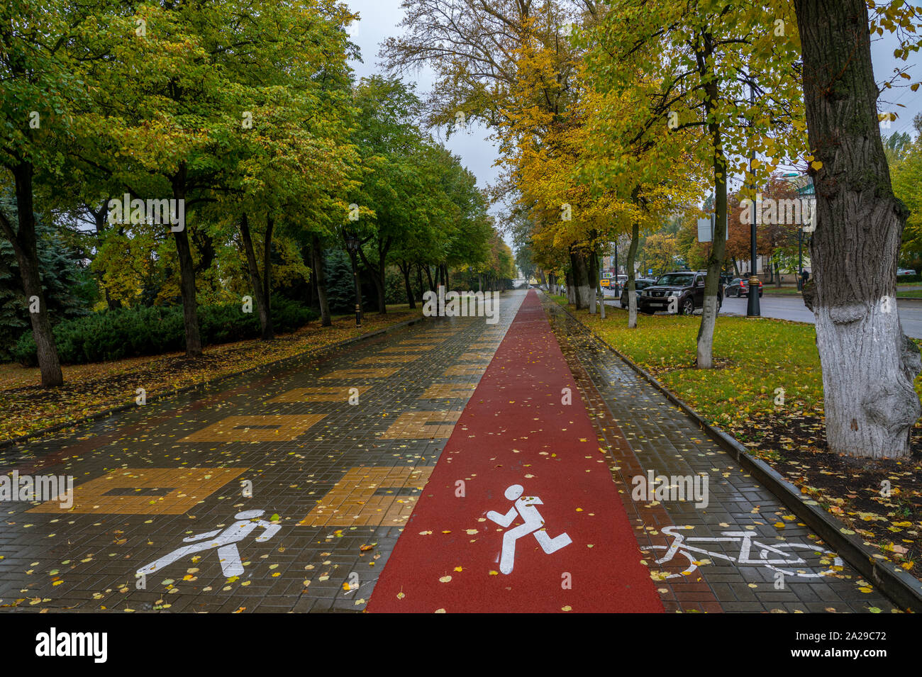 Bicycle path, Jogging path and footpath on the alley of the city Park ...