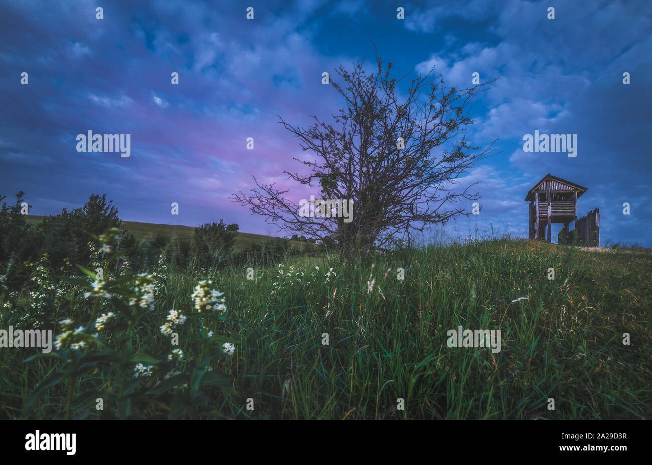 Nature Landscape with Bare Tree, Flowers and Observation Tower at Night ...
