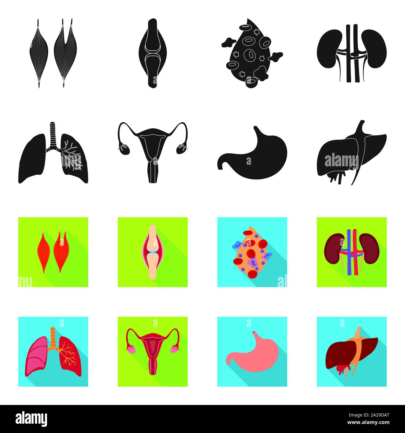 Vector design of biology and scientific sign. Collection of biology and ...