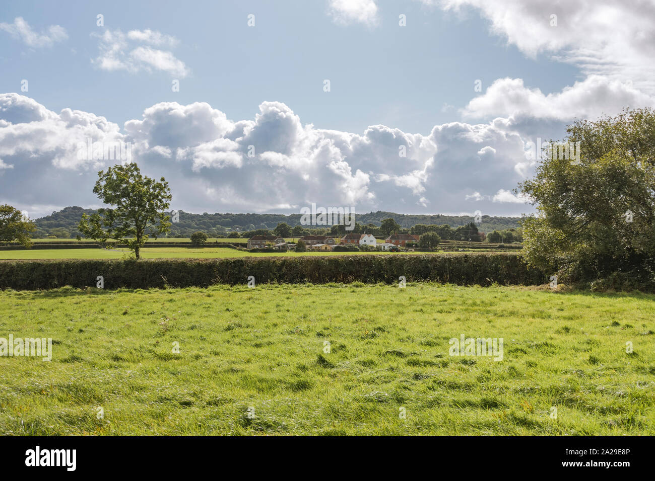 Rural dorset countryside hi-res stock photography and images - Alamy