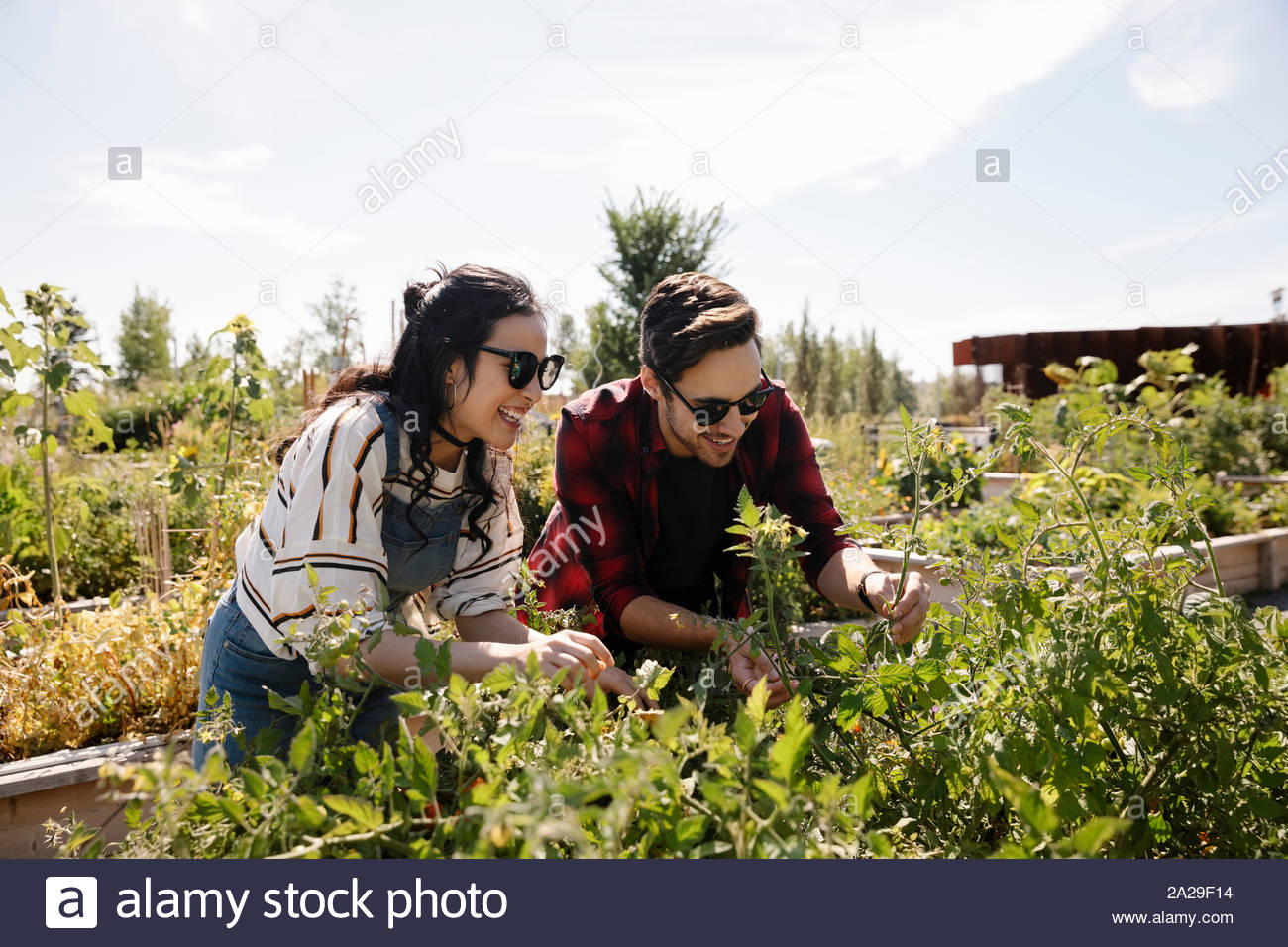 Young black men community hi-res stock photography and images - Alamy
