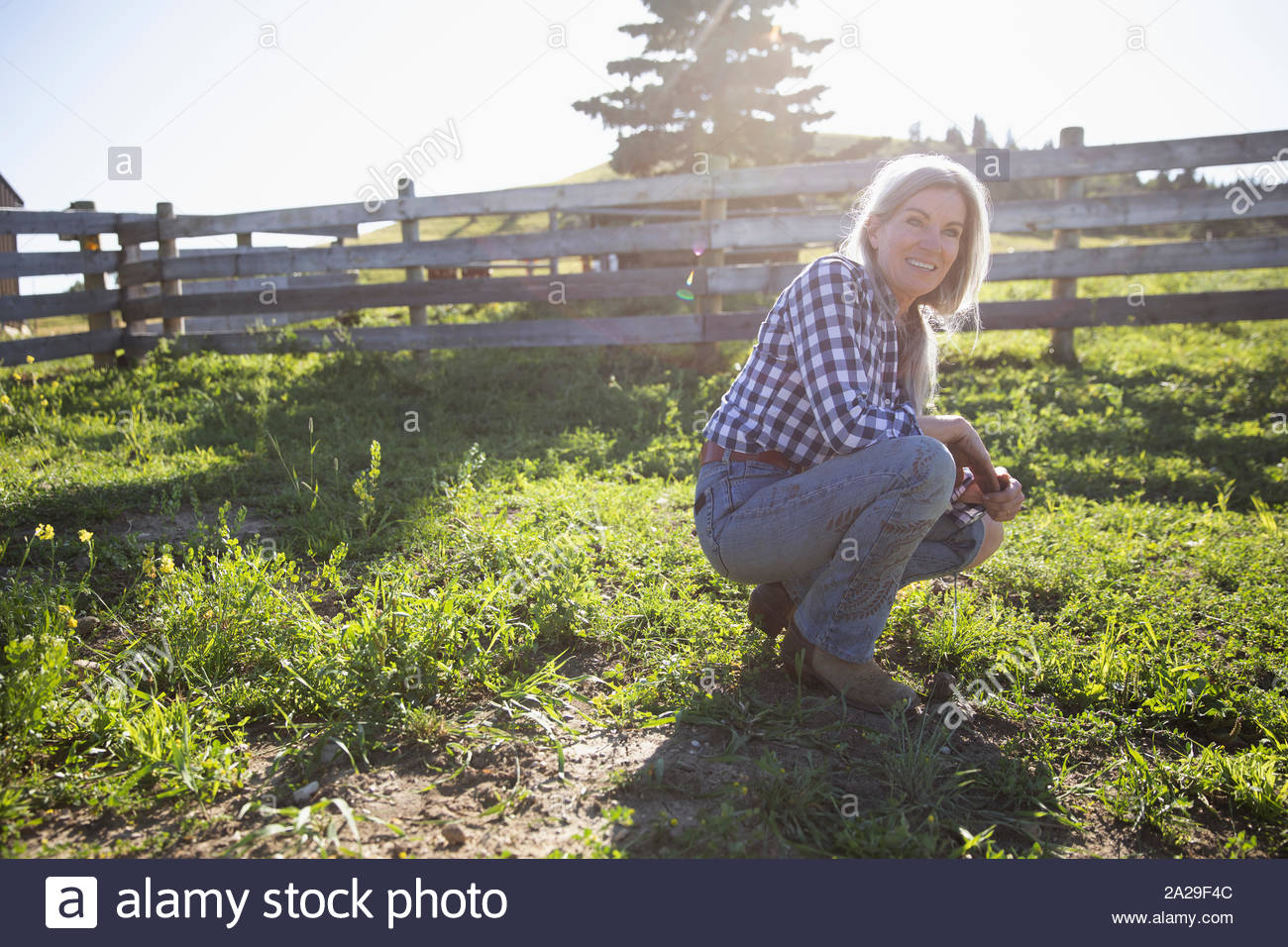 Sunshine lifestyle hi-res stock photography and images - Alamy
