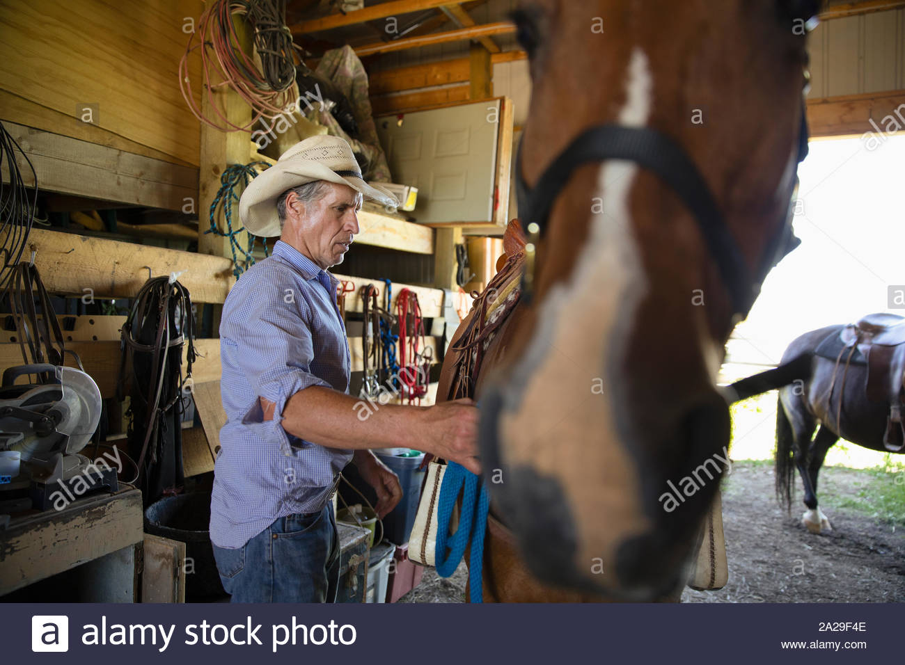 Ranch livelihood hi-res stock photography and images - Alamy