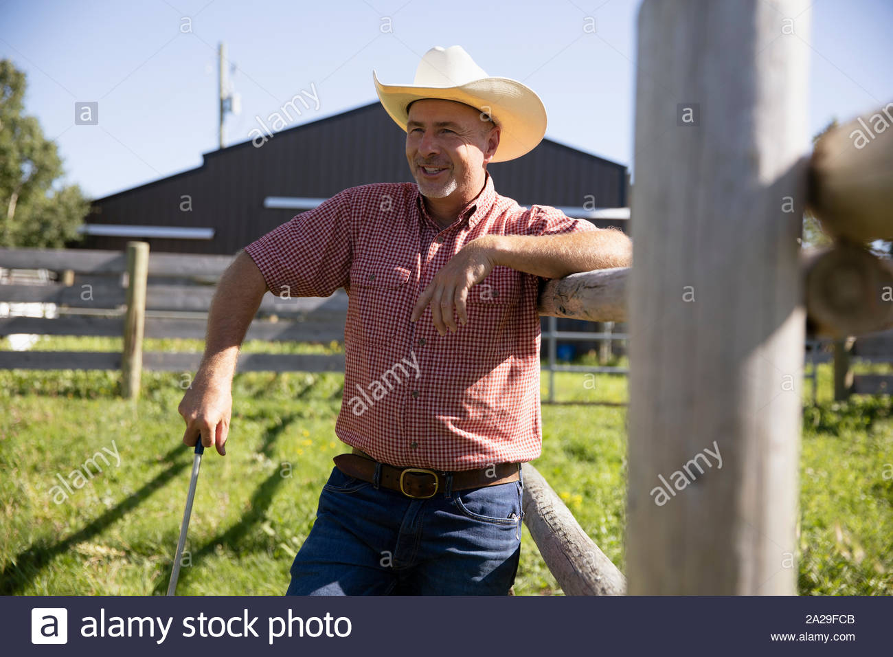 Ranch livelihood hi-res stock photography and images - Alamy