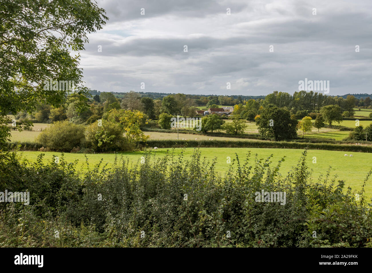 Gillingham dorset uk hi-res stock photography and images - Alamy