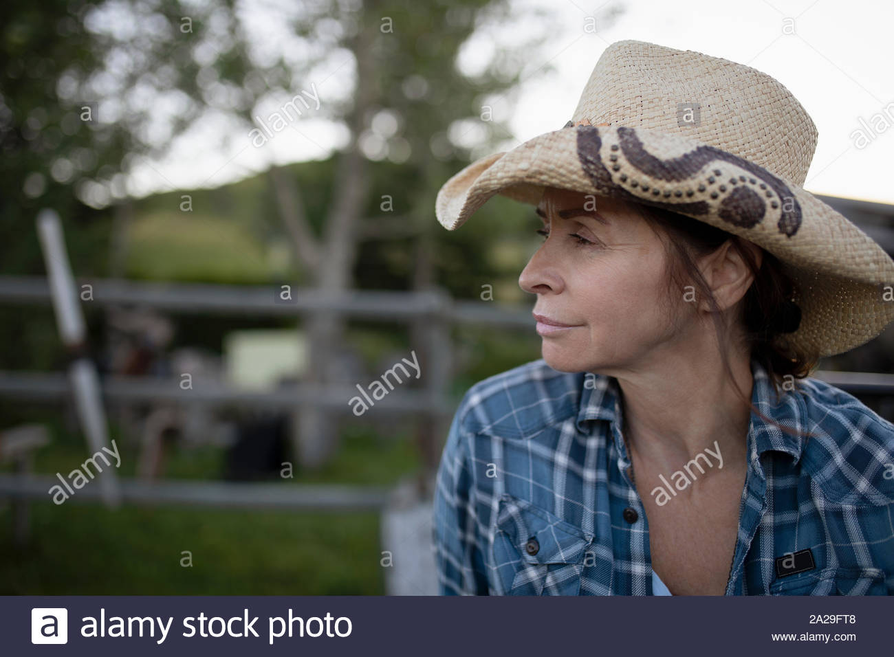 Beautiful mature women hi-res stock photography and images - Alamy