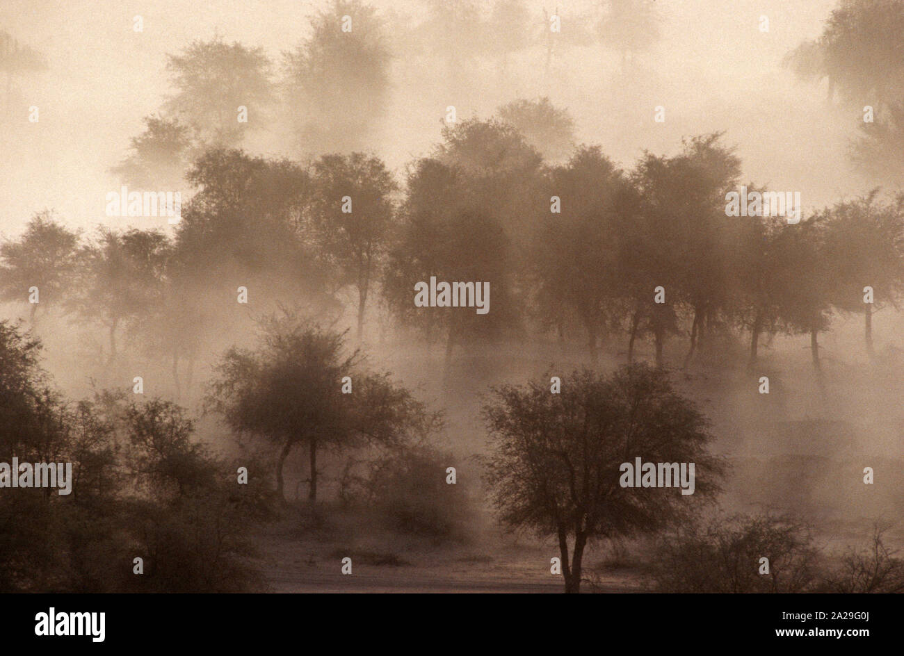 Desert sandstorm in Dubai, United Arab Emirates, UAE Stock Photo - Alamy