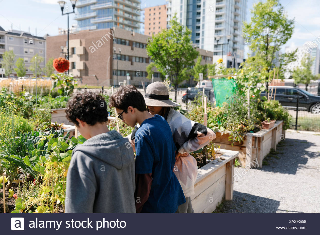 Hispanic mother and son gardening hi-res stock photography and images ...