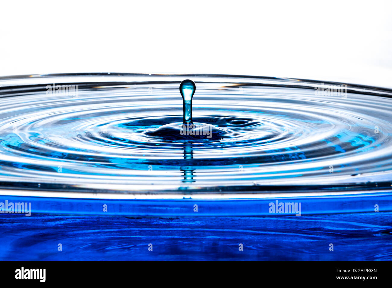 Single drop of water rises out of a calm pool surface into a bulbous ...
