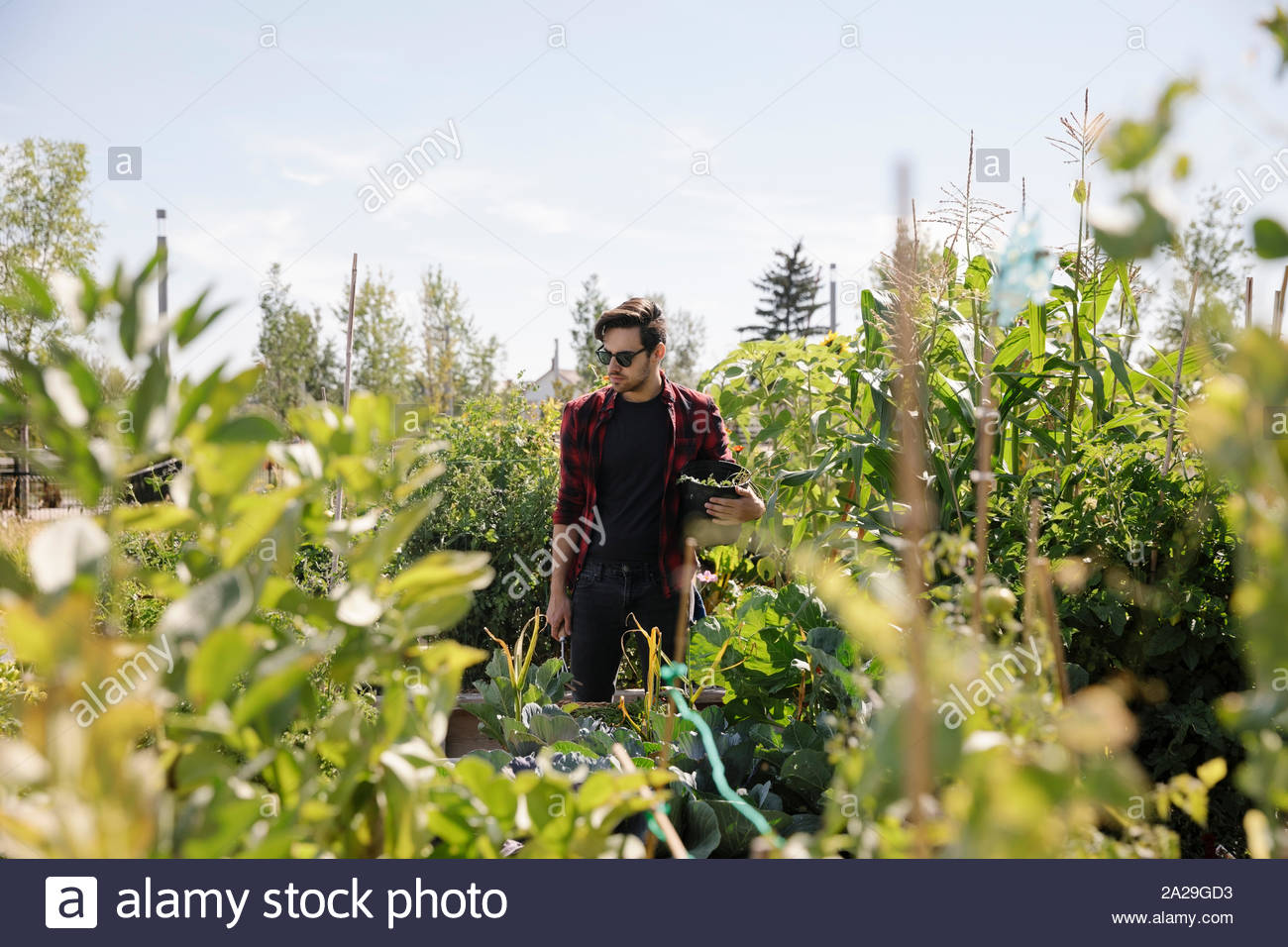 Man garden hi-res stock photography and images - Alamy