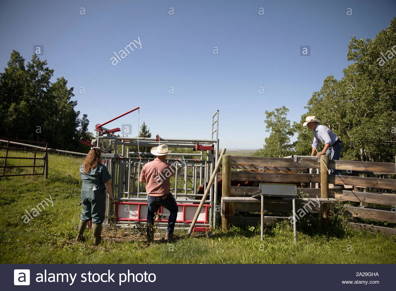 Ranch livelihood hi-res stock photography and images - Alamy