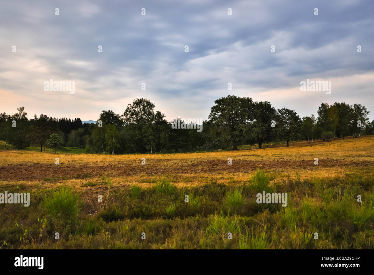 moorland landscape in hdr Stock Photo - Alamy