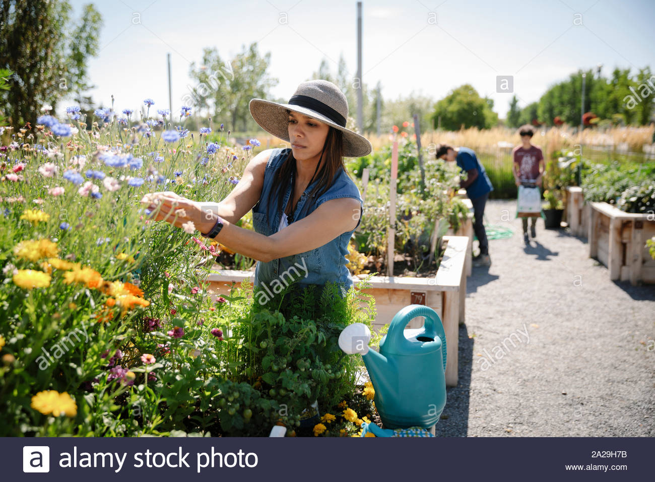 Tending flower garden hi-res stock photography and images - Alamy