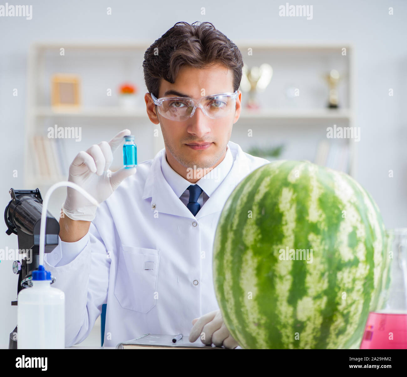 The scientist testing watermelon in lab Stock Photo - Alamy