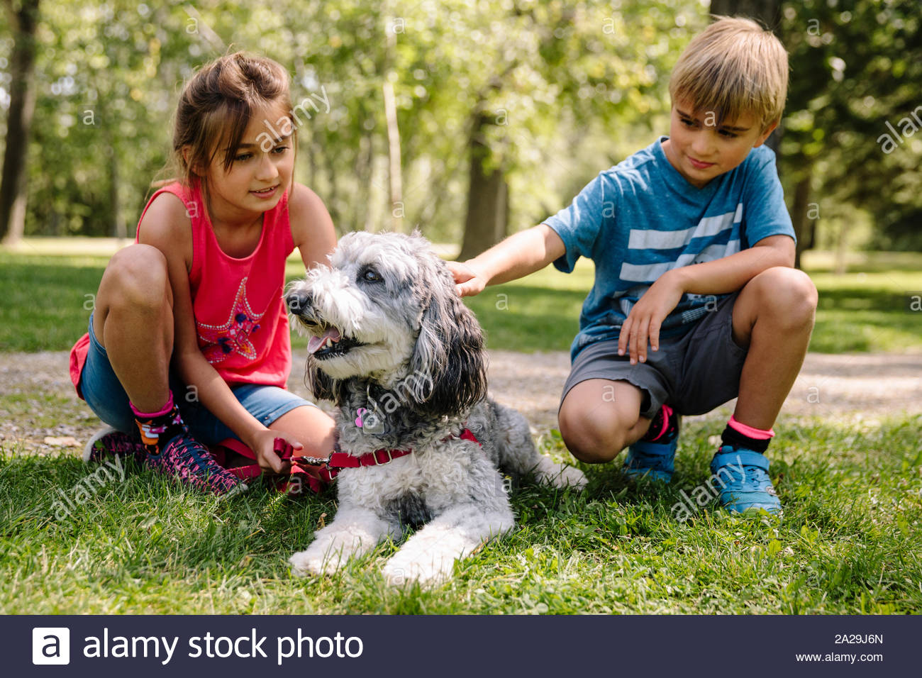 Childhood pet hi-res stock photography and images - Alamy