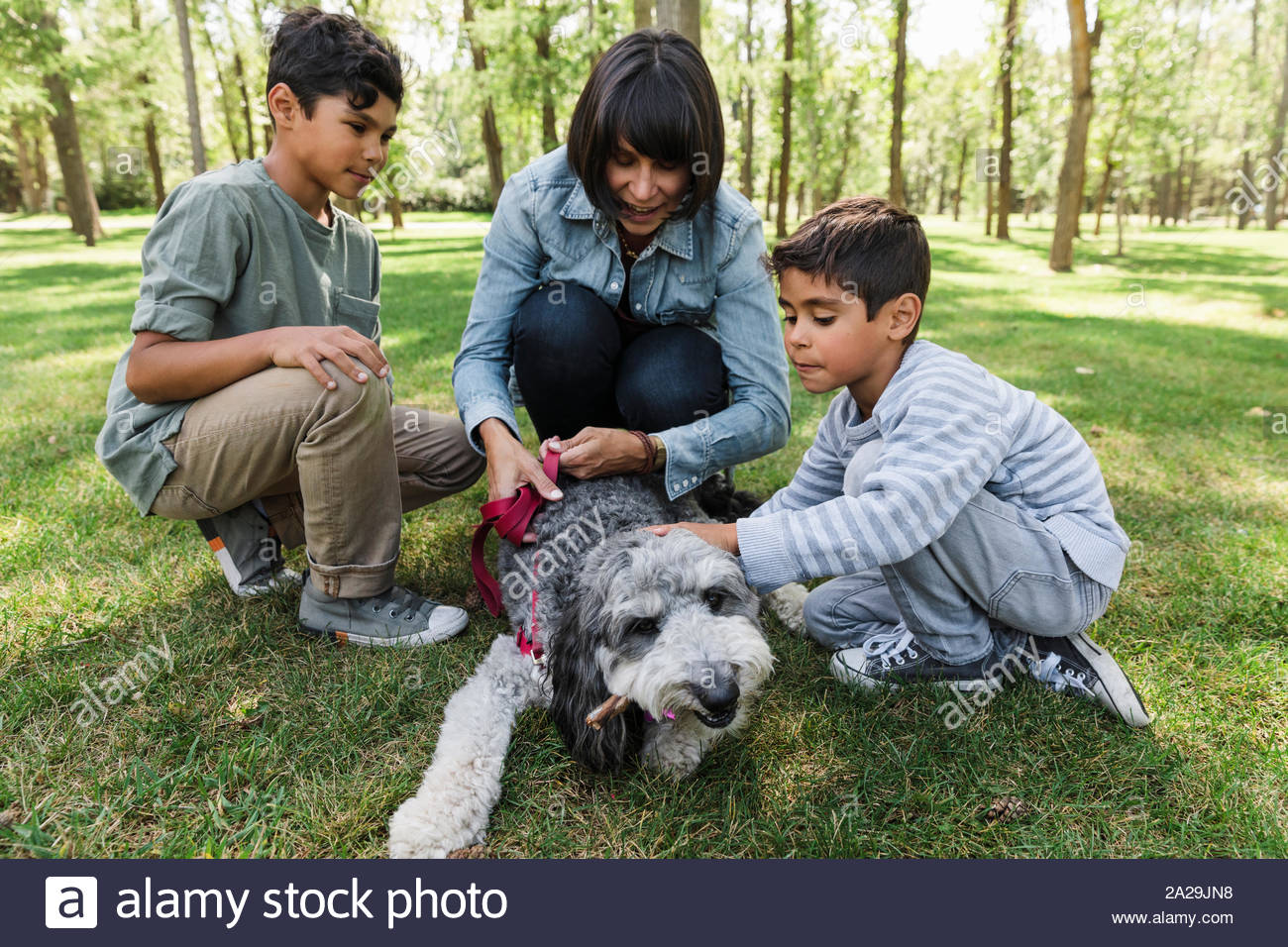 Mother son pet hi-res stock photography and images - Alamy