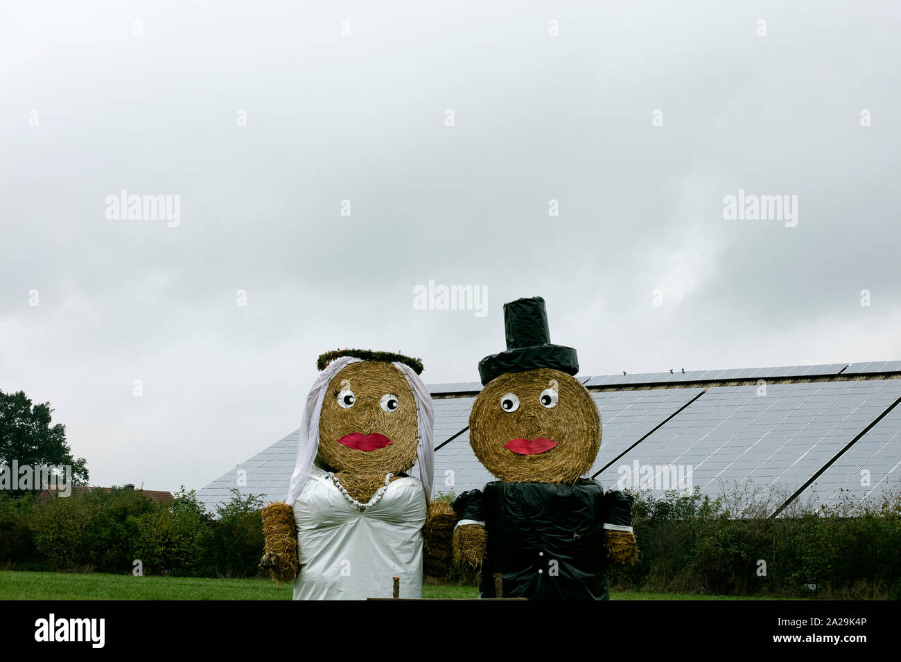 Just married puppets lovely background high quality prints Stock Photo ...