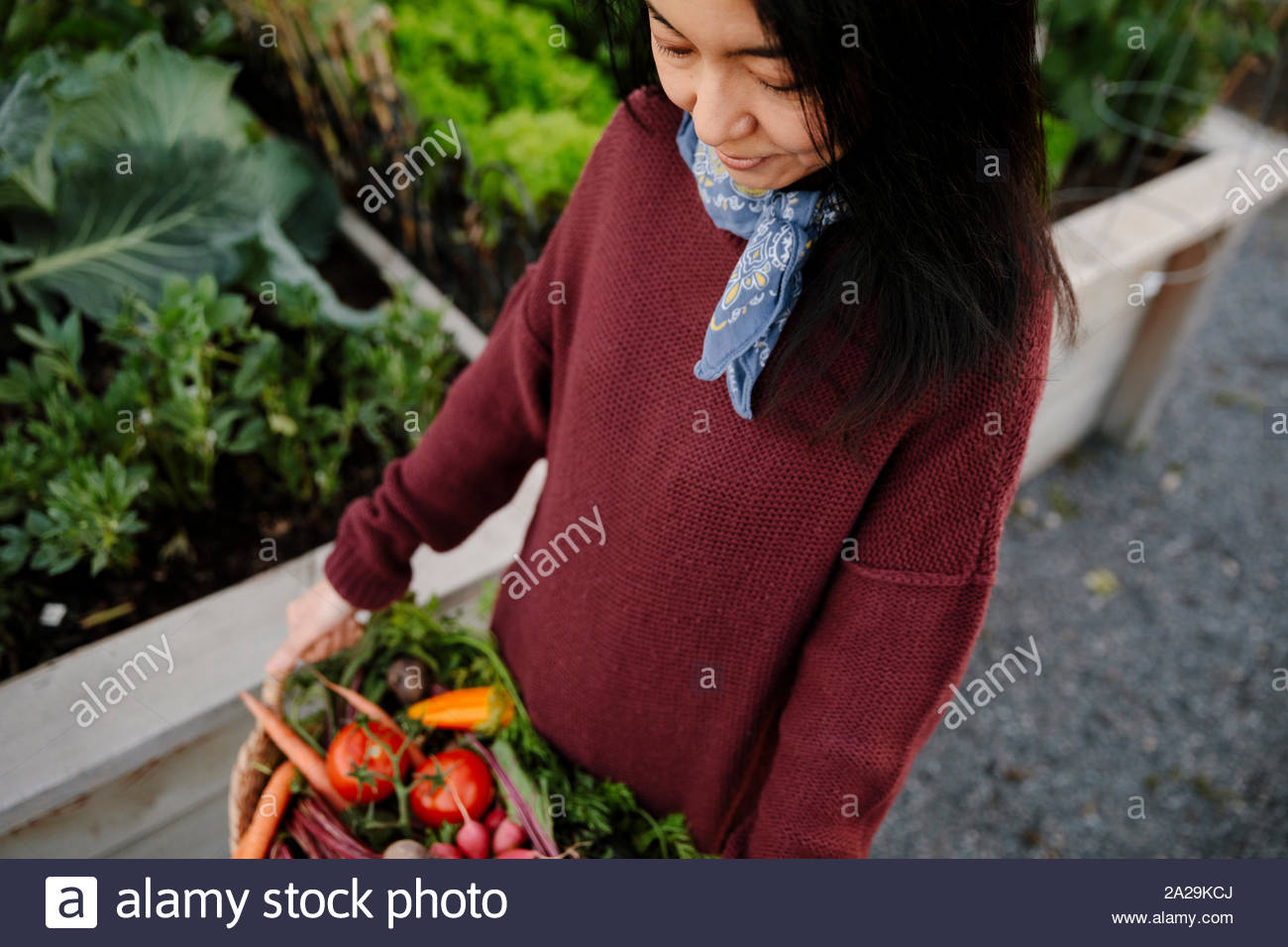 Woman carrying food basket hi-res stock photography and images - Alamy