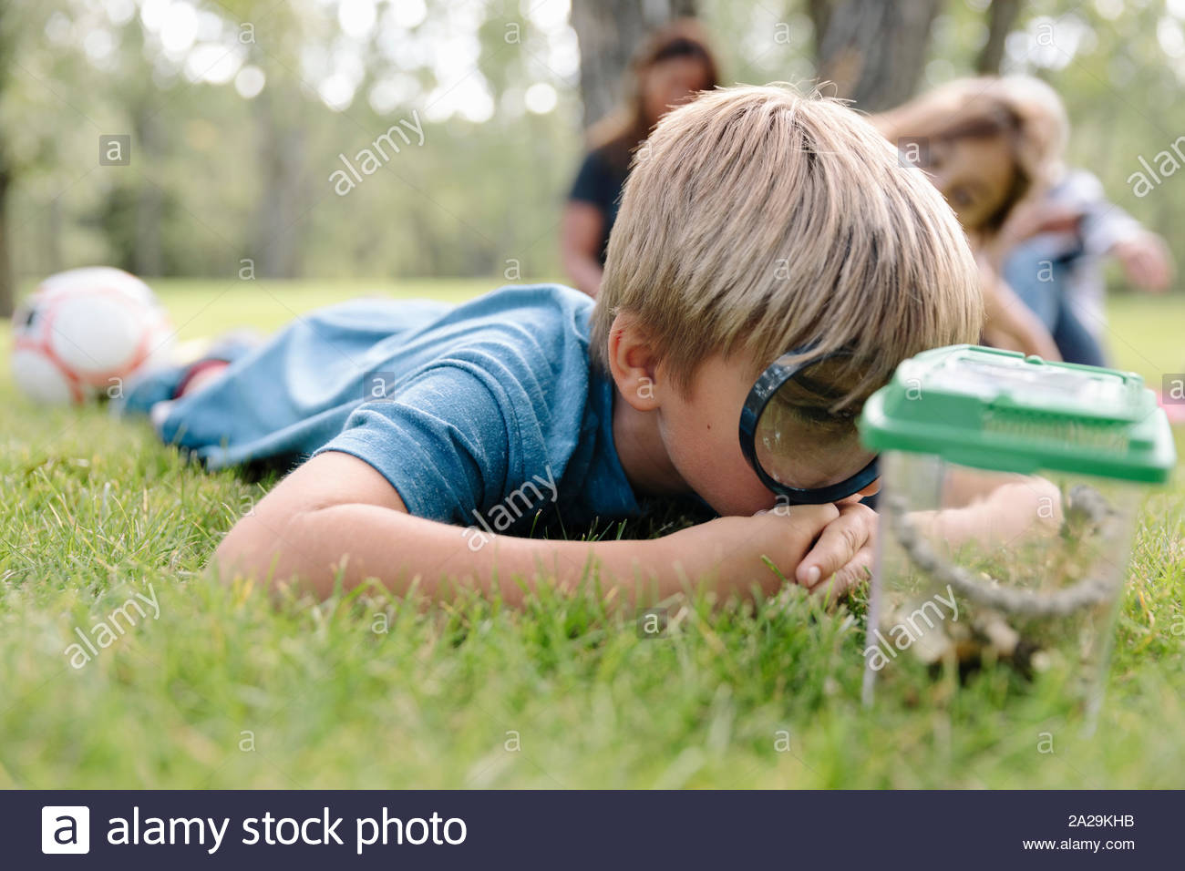 Bugs in jar hi-res stock photography and images - Alamy