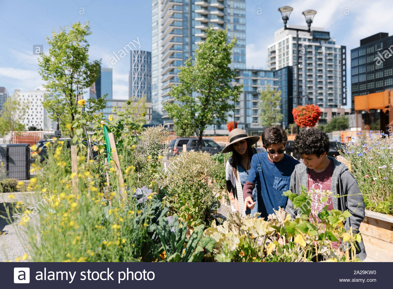 Hispanic mother and son gardening hi-res stock photography and images ...