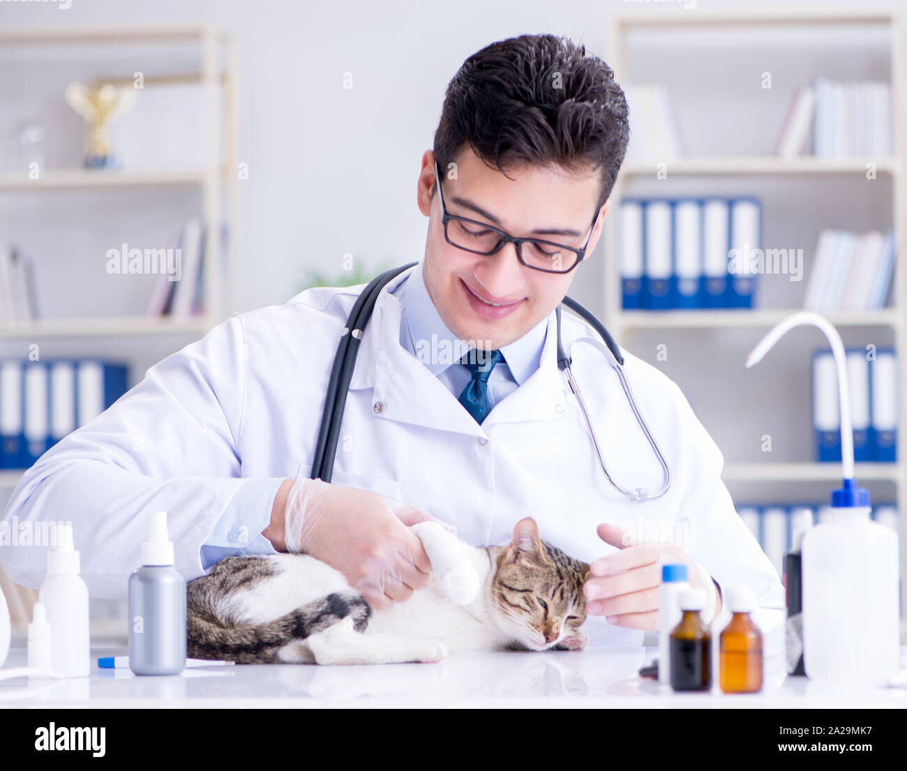 The cat visiting vet for regular check up Stock Photo - Alamy