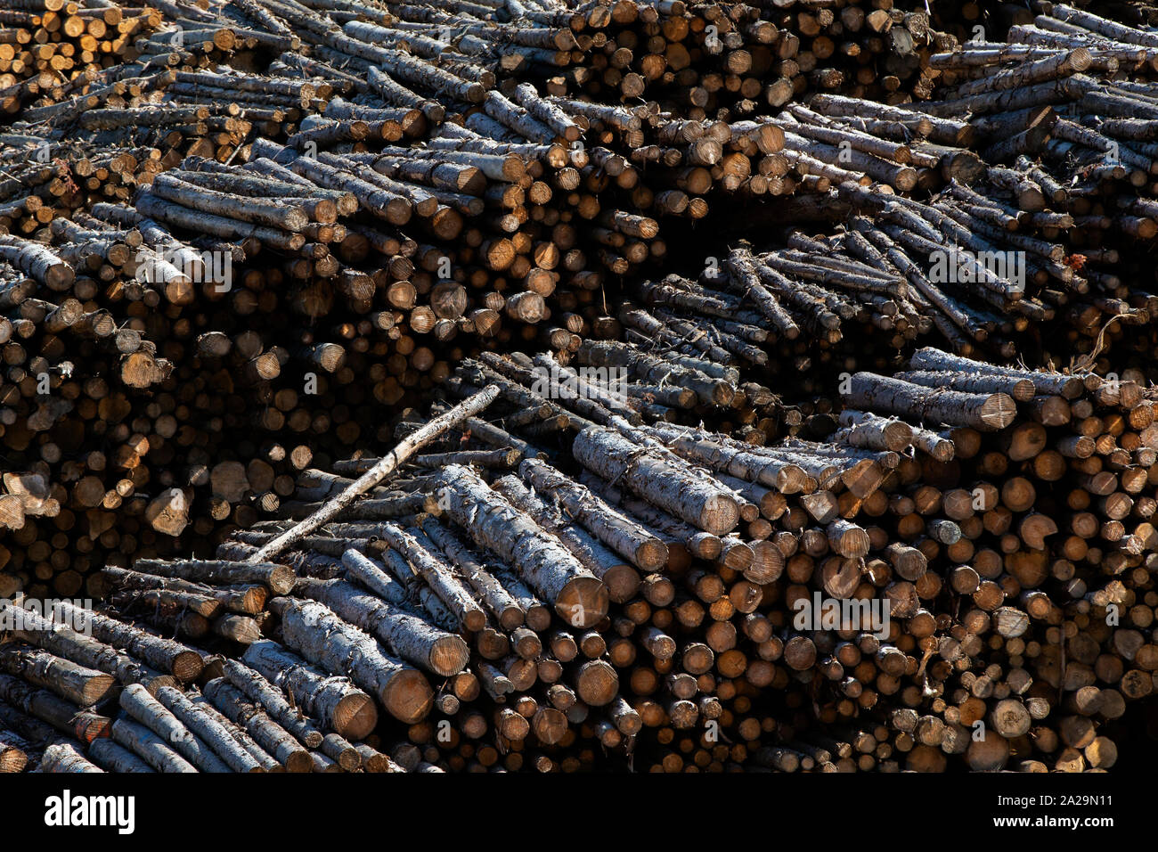 How to mill logs hi-res stock photography and images - Alamy