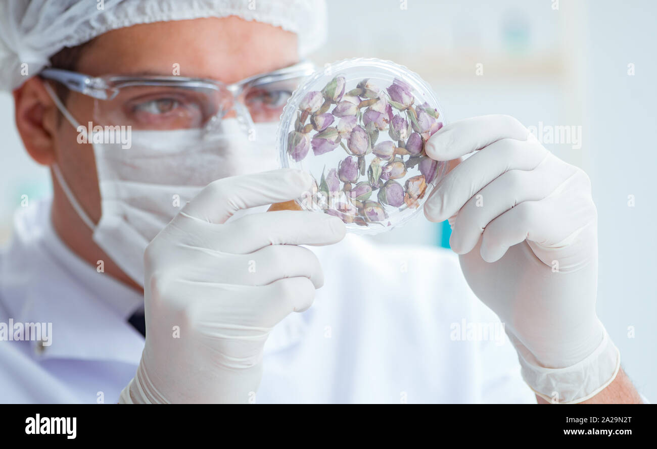 The chemist mixing perfumes in the lab Stock Photo - Alamy