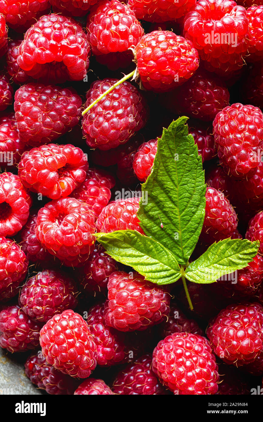 Farm Fresh Raspberries - fresh picked Stock Photo - Alamy