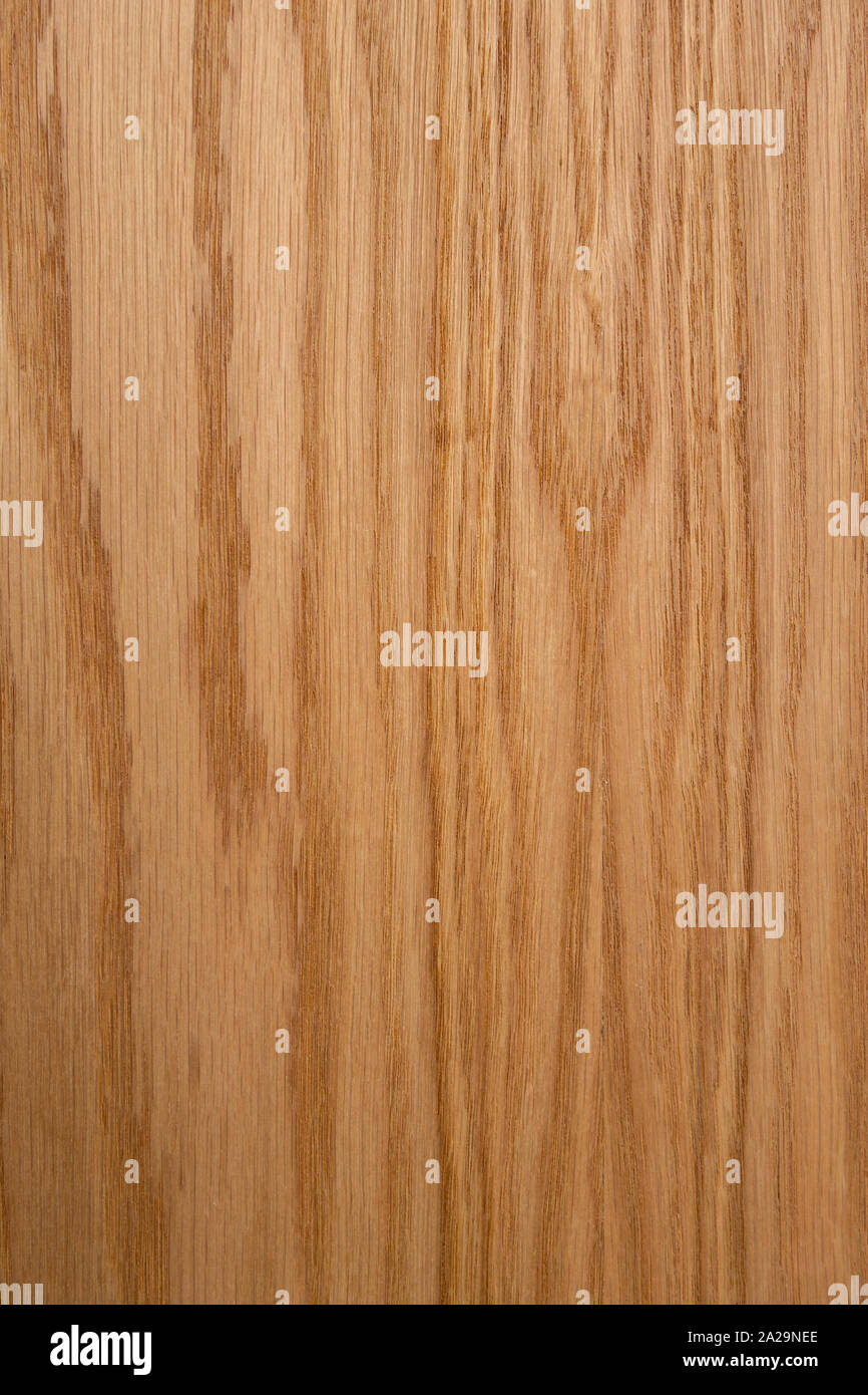 Oak plank. The structure of natural oak. A tangential cut of a tree ...