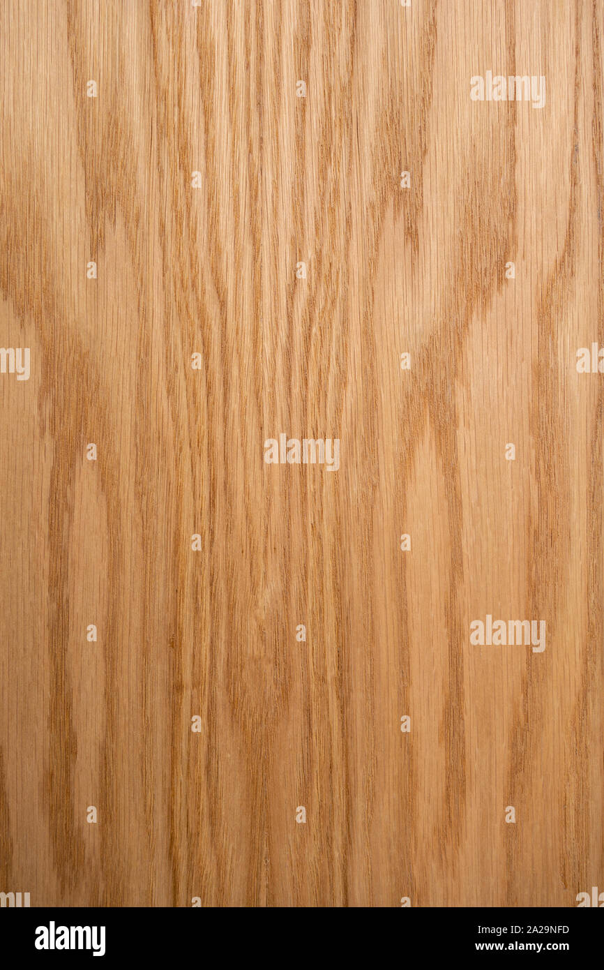 Oak plank. The structure of natural oak. A tangential cut of a tree ...