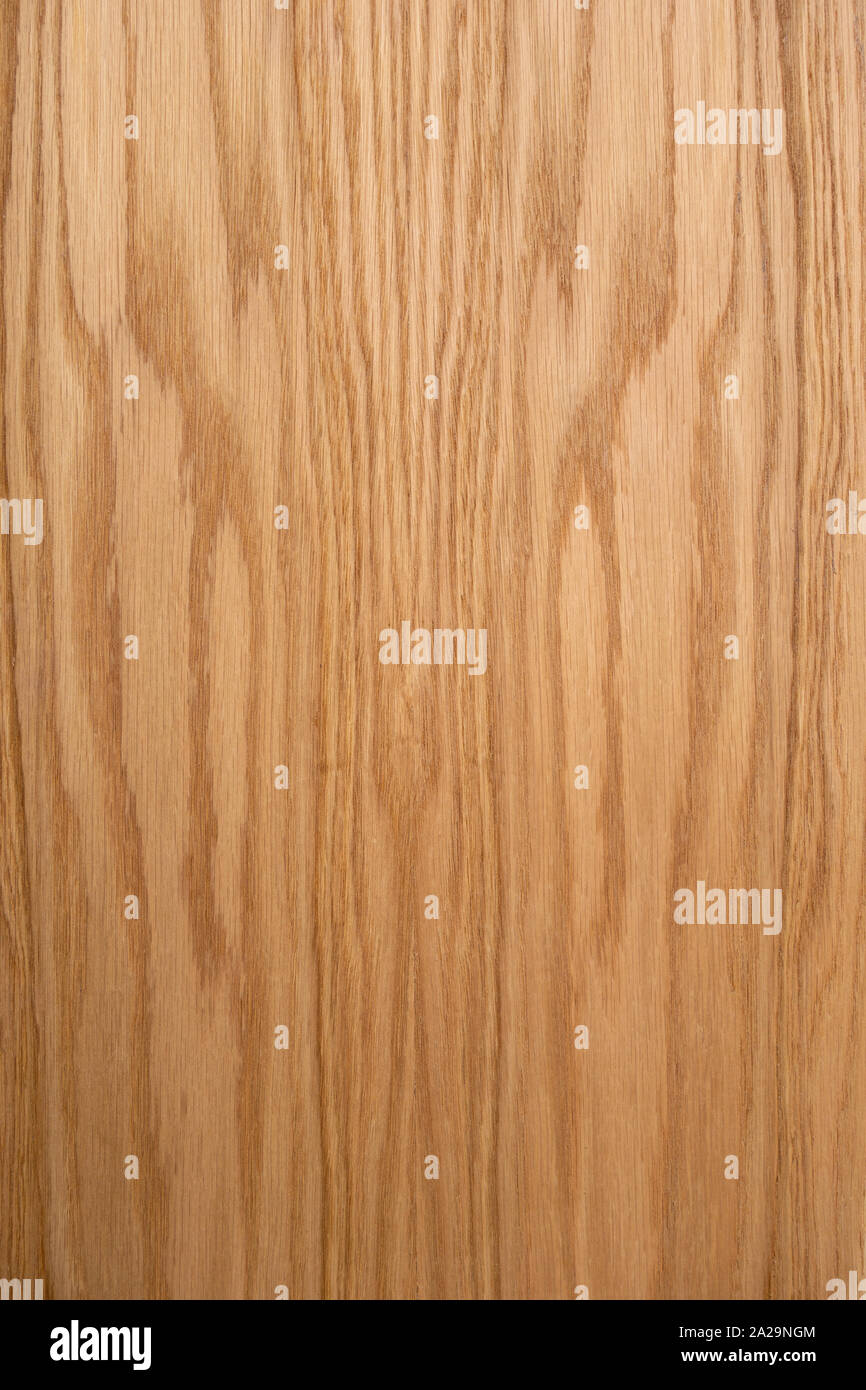 Oak plank. The structure of natural oak. A tangential cut of a tree ...