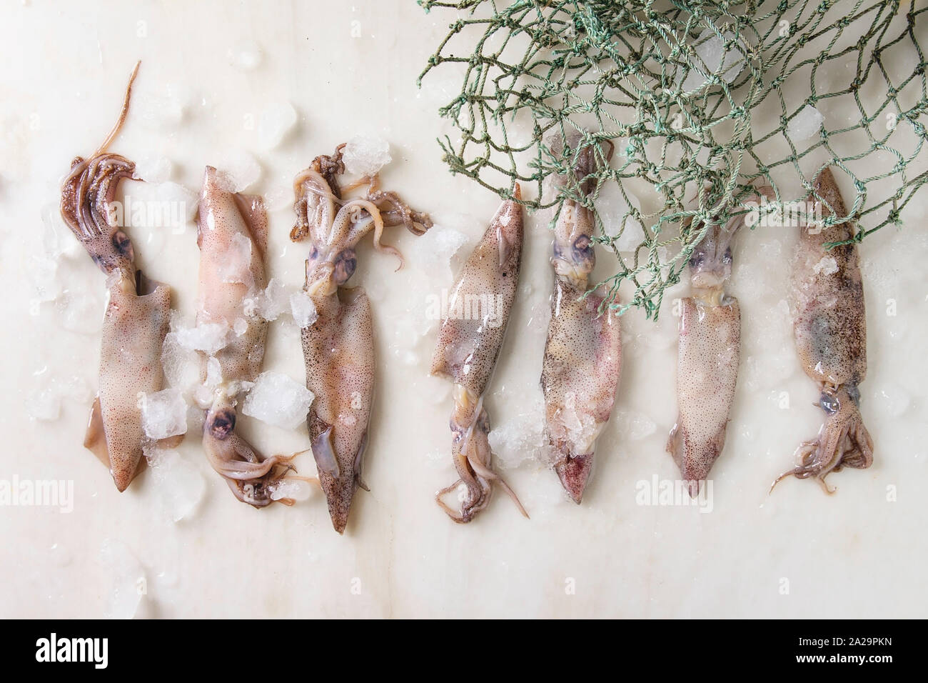 White uncooked calamari hi-res stock photography and images - Alamy