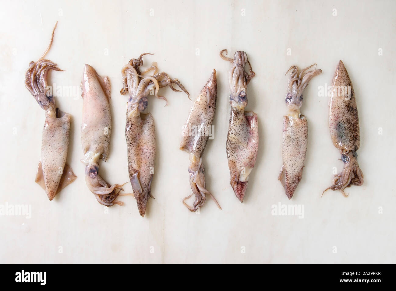 Raw uncooked squids calamari in row over white marble background. Flat ...