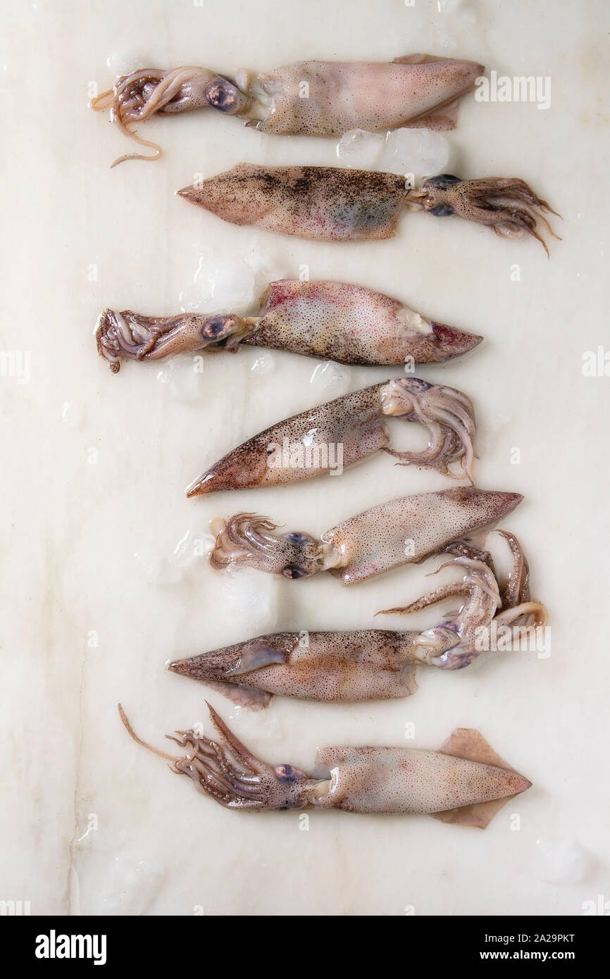 Raw uncooked squids calamari in row with ice over white marble ...