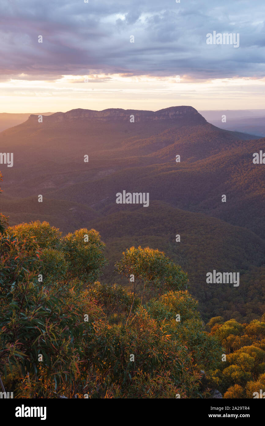 Blue mountains national park nsw hi-res stock photography and images ...