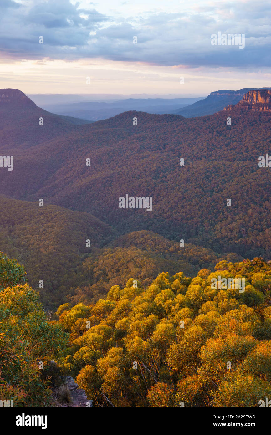 Kings Tableland in the Blue Mountains National Park, New South Wales ...