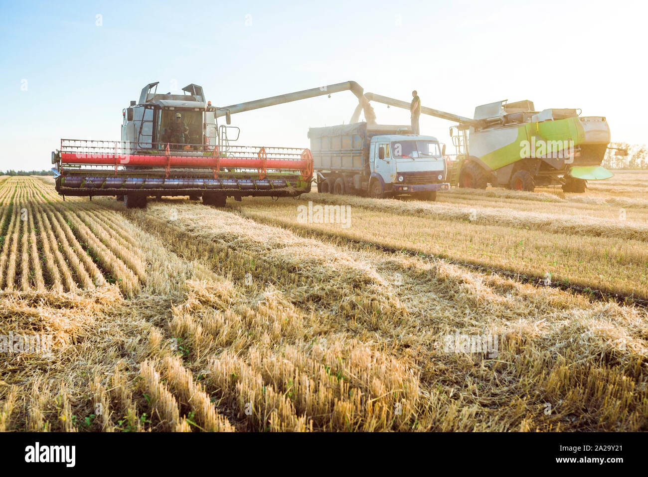 Combine backdrop hi-res stock photography and images - Alamy