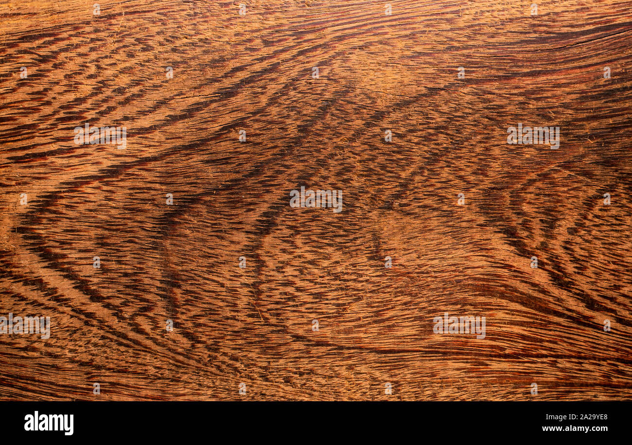 Hard brown wood texture closeup macro Stock Photo - Alamy