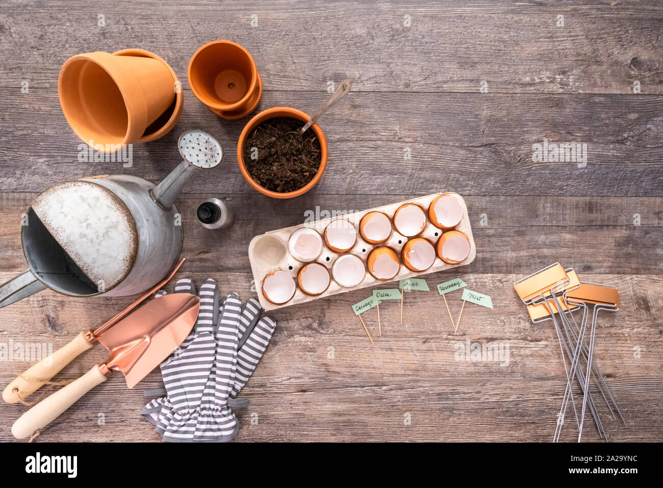 Flat lay. Plantings seeds in eggshells and labeling them with small ...