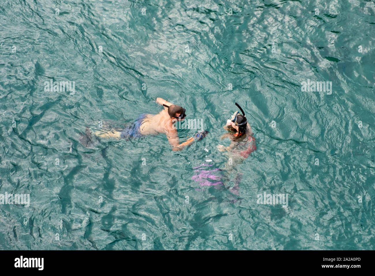 A couple snorkels in the Indian River under the South Beach Bridge at ...