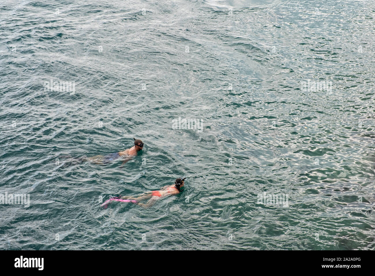 A couple snorkels in the Indian River under the South Beach Bridge at ...